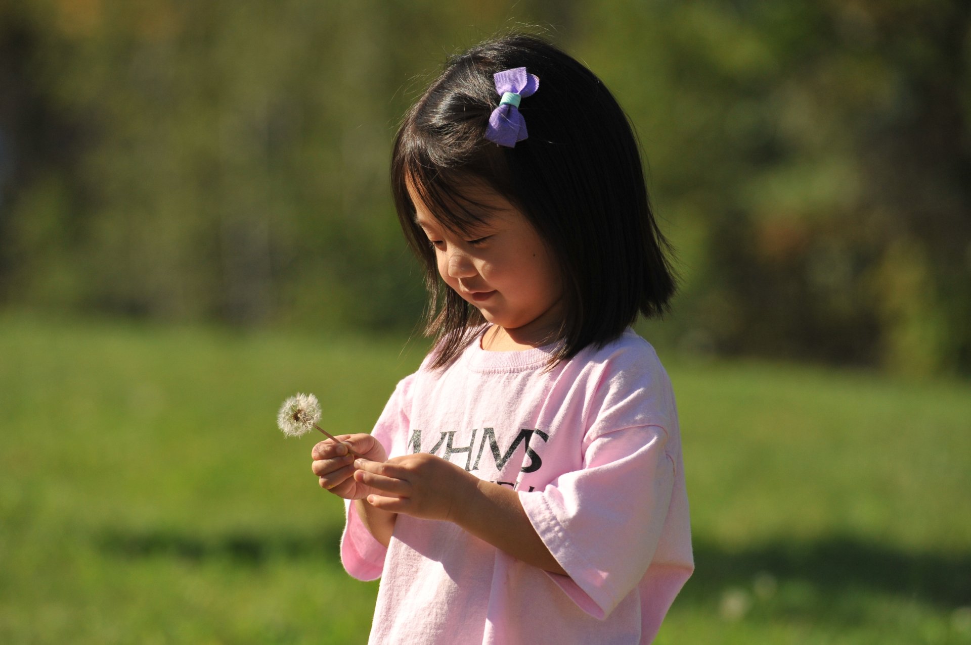 Woodland Montessori School - An Education For Life